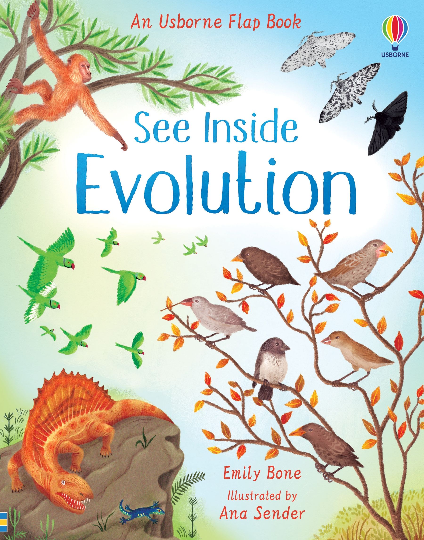 See Inside Evolution - Board Book | Usborne – Krazy Caterpillar