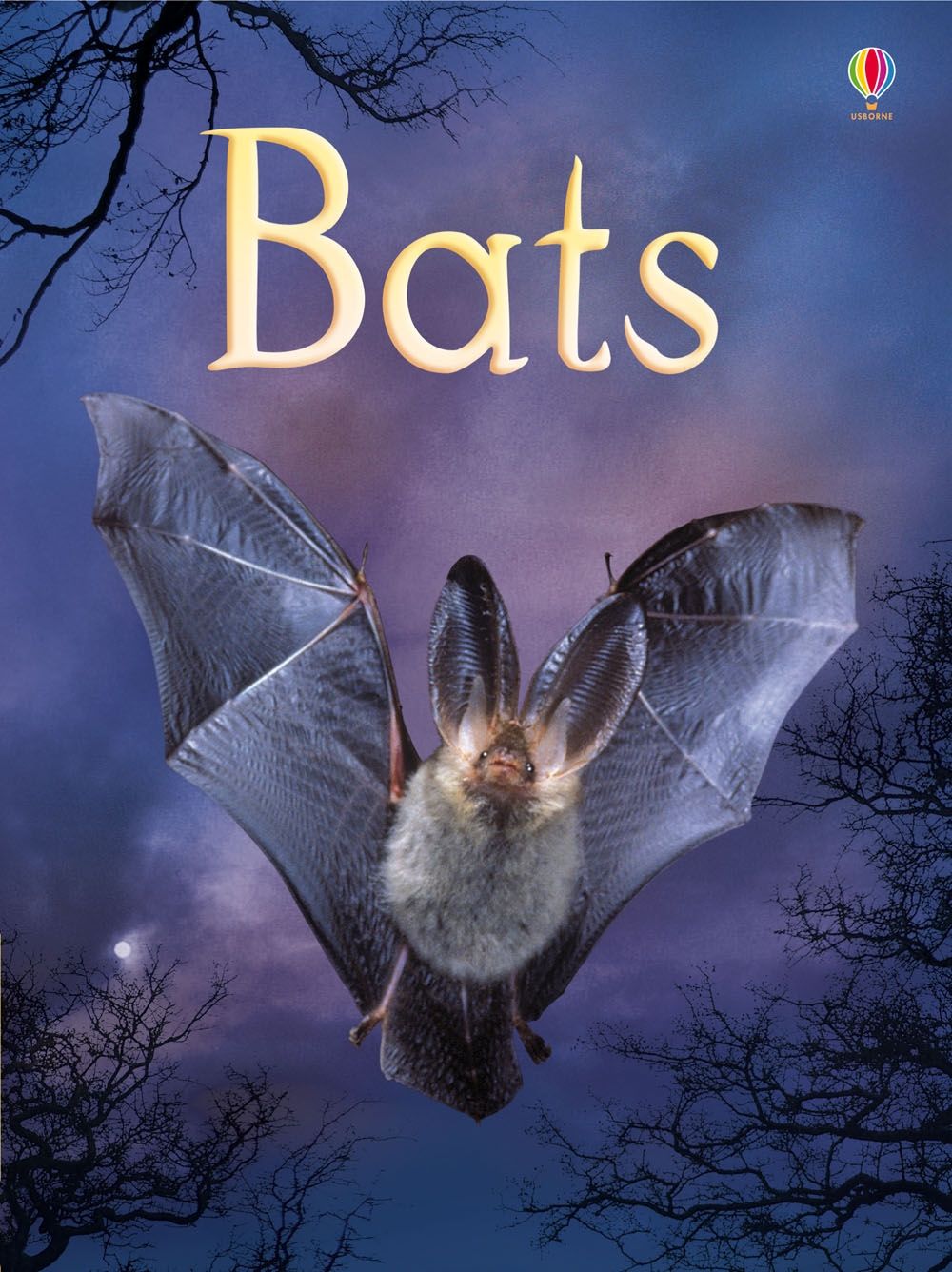 Bats (Beginners) - Hardcover | Usborne Books – Krazy Caterpillar