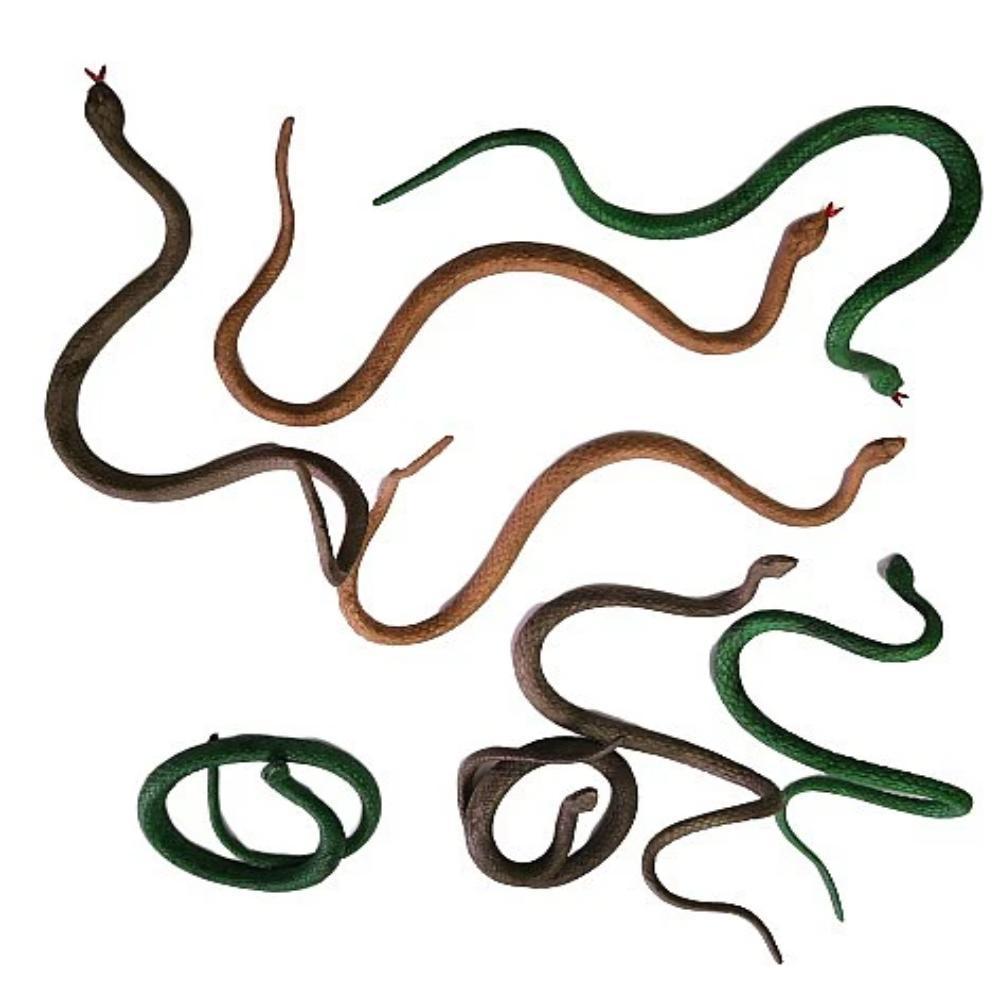 Snake - Tube | National Geographic – Krazy Caterpillar