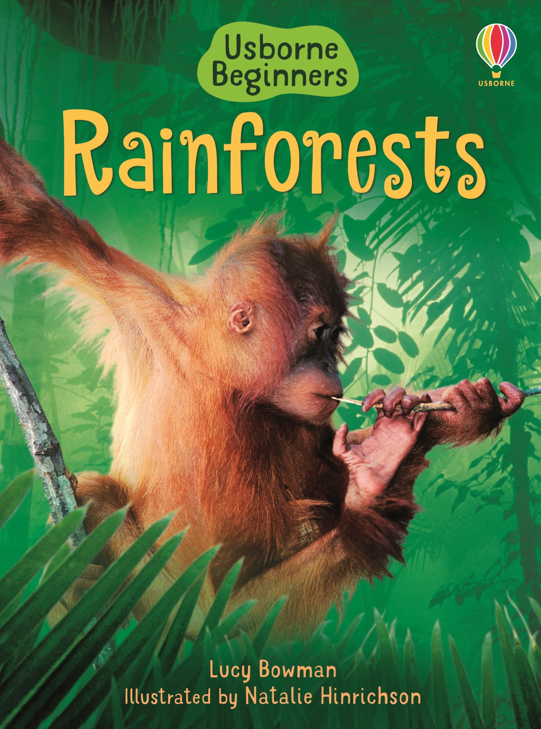 Rainforests (Beginners) - Board Book | Usborne – Krazy Caterpillar
