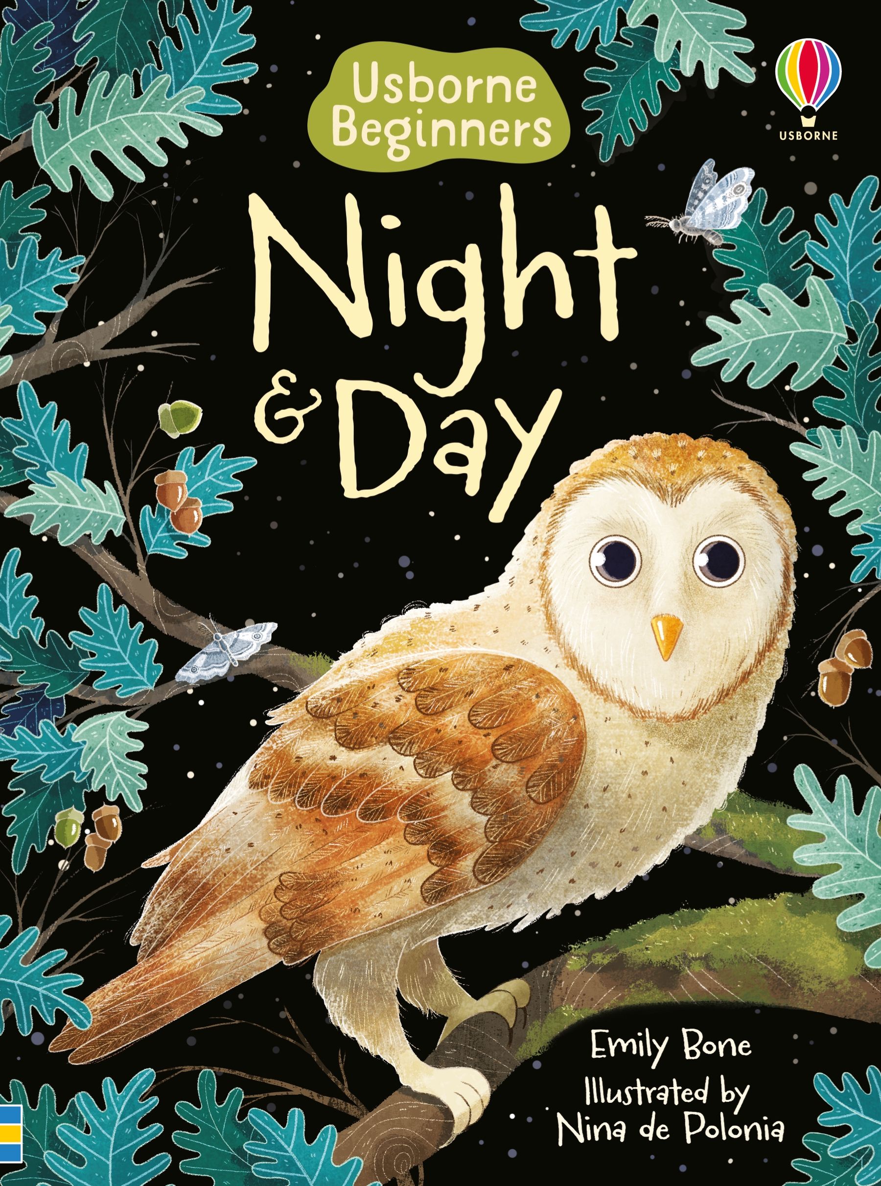 Night and Day (Beginners) - Hardcover | Usborne Books – Krazy Caterpillar